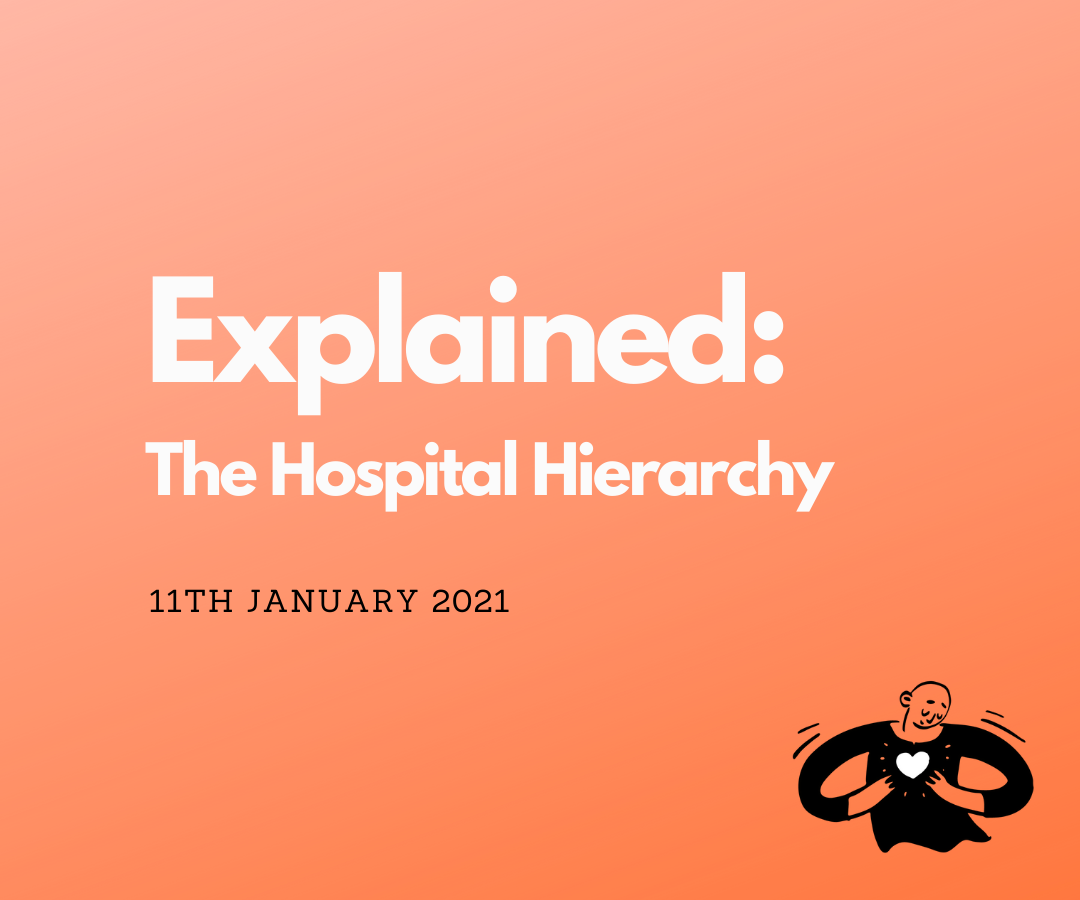 The Hospital Hierarchy Explained | Doctor Nisha